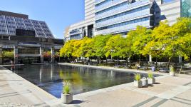Mel Lastman Square | The Cultural Landscape Foundation