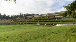 Weyerhaeuser Campus Forest Land Deemed Unimportant | The Cultural ...