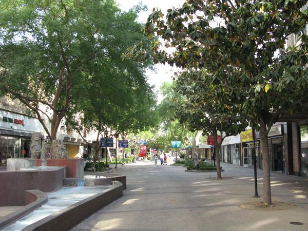 Fulton Mall | The Cultural Landscape Foundation