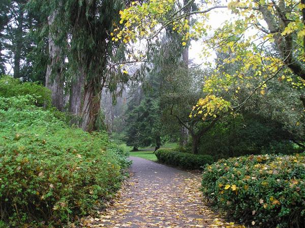 Golden Gate Park | The Cultural Landscape Foundation