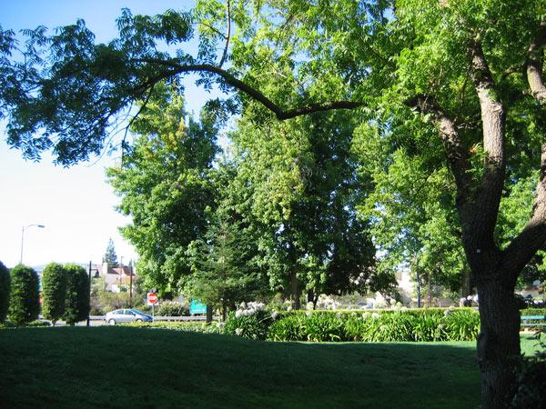 Bowden Park | The Cultural Landscape Foundation