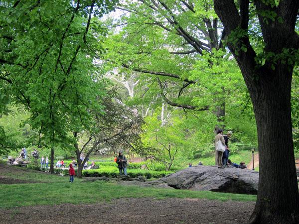 Central Park Children's District | The Cultural Landscape Foundation