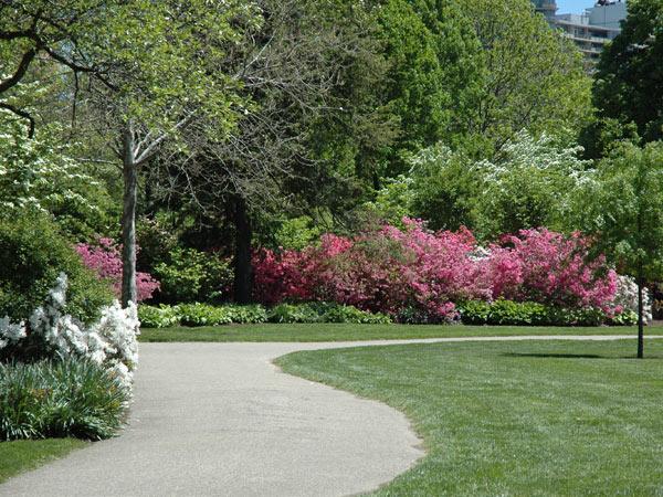 Azalea Garden | The Cultural Landscape Foundation
