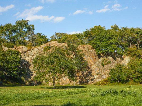 Ballard Park | The Cultural Landscape Foundation