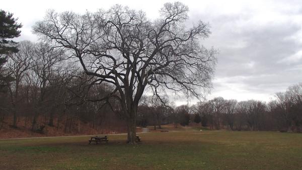 Beaver Brook Reservation | The Cultural Landscape Foundation
