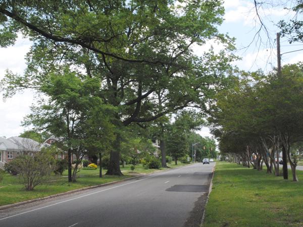 Brookland Parkway | The Cultural Landscape Foundation