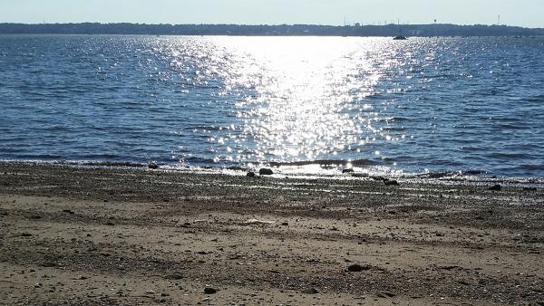 Conference House Park | The Cultural Landscape Foundation