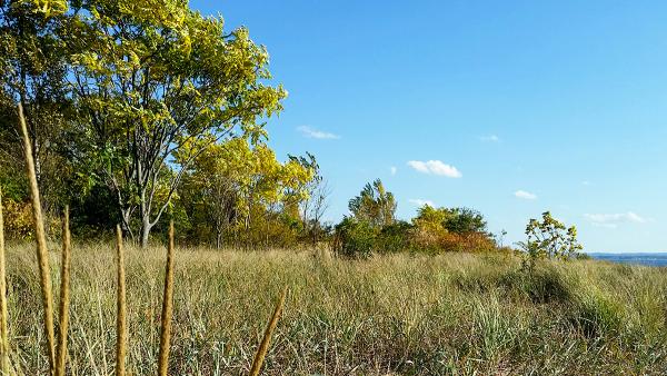 Conference House Park | The Cultural Landscape Foundation