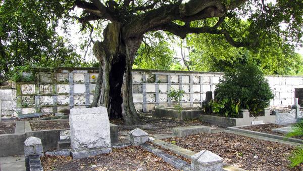 Cypress Grove Cemetery | The Cultural Landscape Foundation
