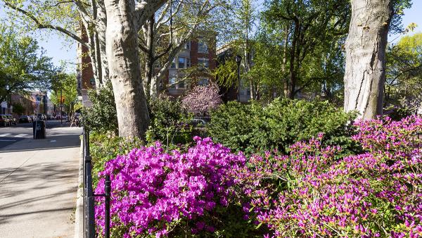 Fitler Square | The Cultural Landscape Foundation