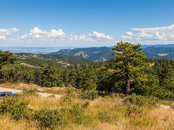 Genesee Park | The Cultural Landscape Foundation