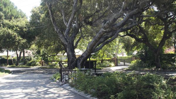 Isabelle Greene | The Cultural Landscape Foundation