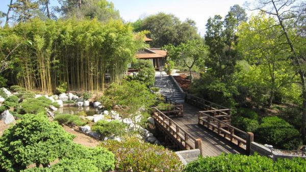 Takeo Uesugi | The Cultural Landscape Foundation