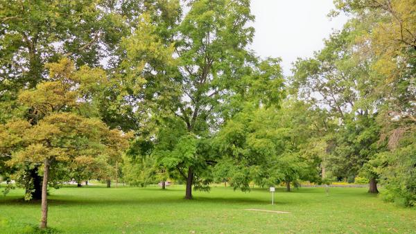 Brookside Park | The Cultural Landscape Foundation