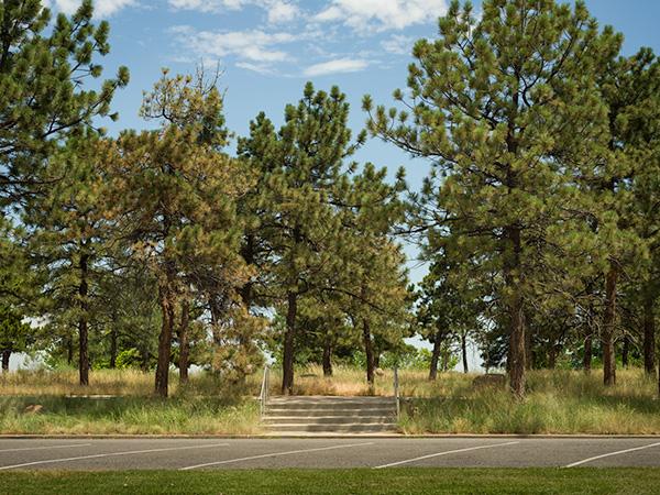 Inspiration Point Park | The Cultural Landscape Foundation
