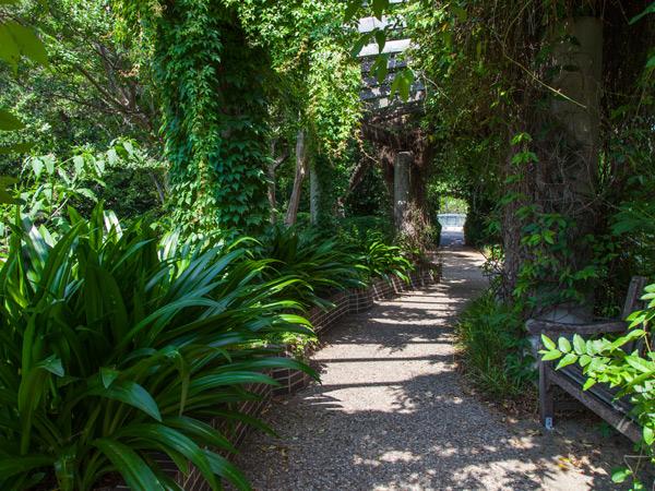 Texas Discovery Gardens | The Cultural Landscape Foundation