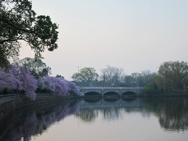West Potomac Park | The Cultural Landscape Foundation