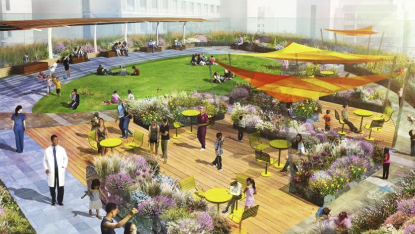 Replacement for Prouty Garden Opens in Boston | The Cultural Landscape ...