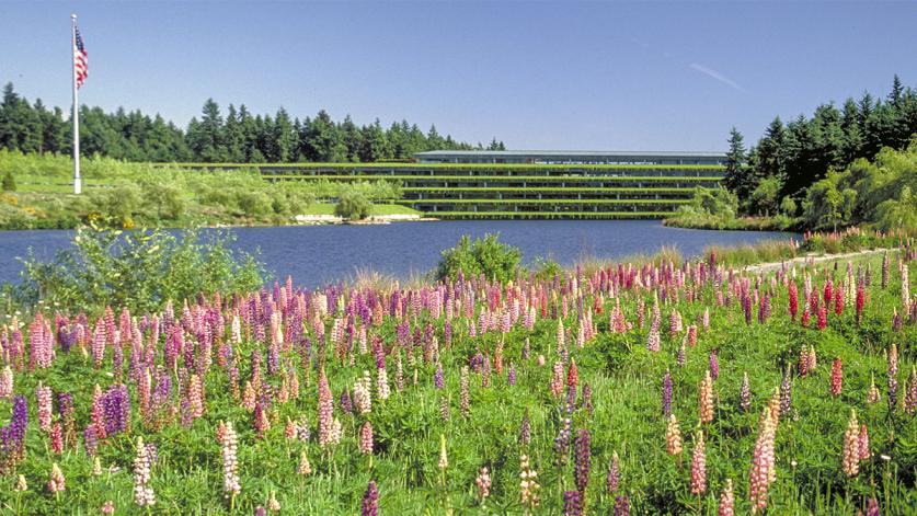 Advocates Appeal Development of Iconic Weyerhaeuser Campus | The ...