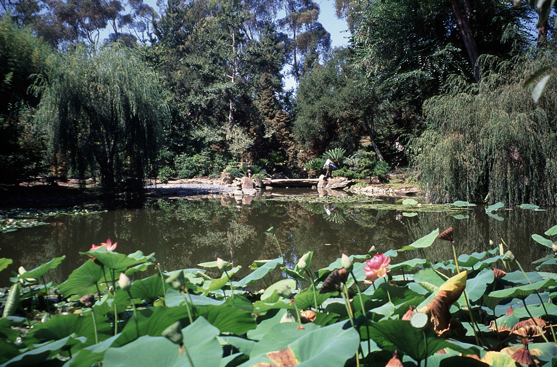 Lotusland | The Cultural Landscape Foundation