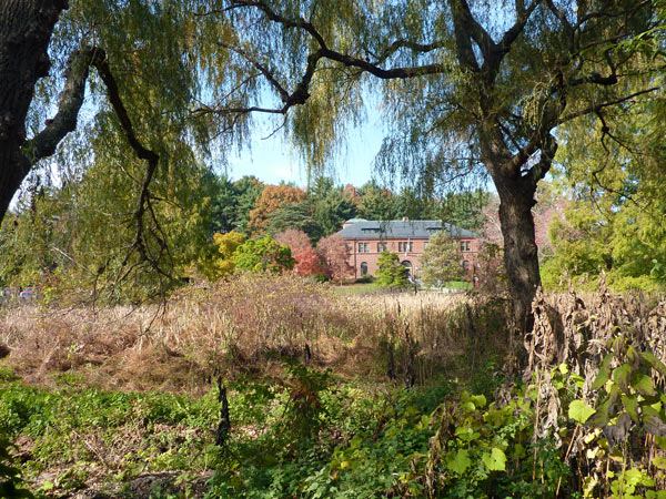 Arnold Arboretum | The Cultural Landscape Foundation