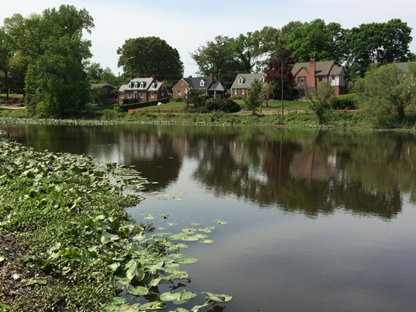 Joseph Bryan Park | The Cultural Landscape Foundation